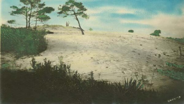 Florida’s Ancient People – Historical Society of Palm Beach County